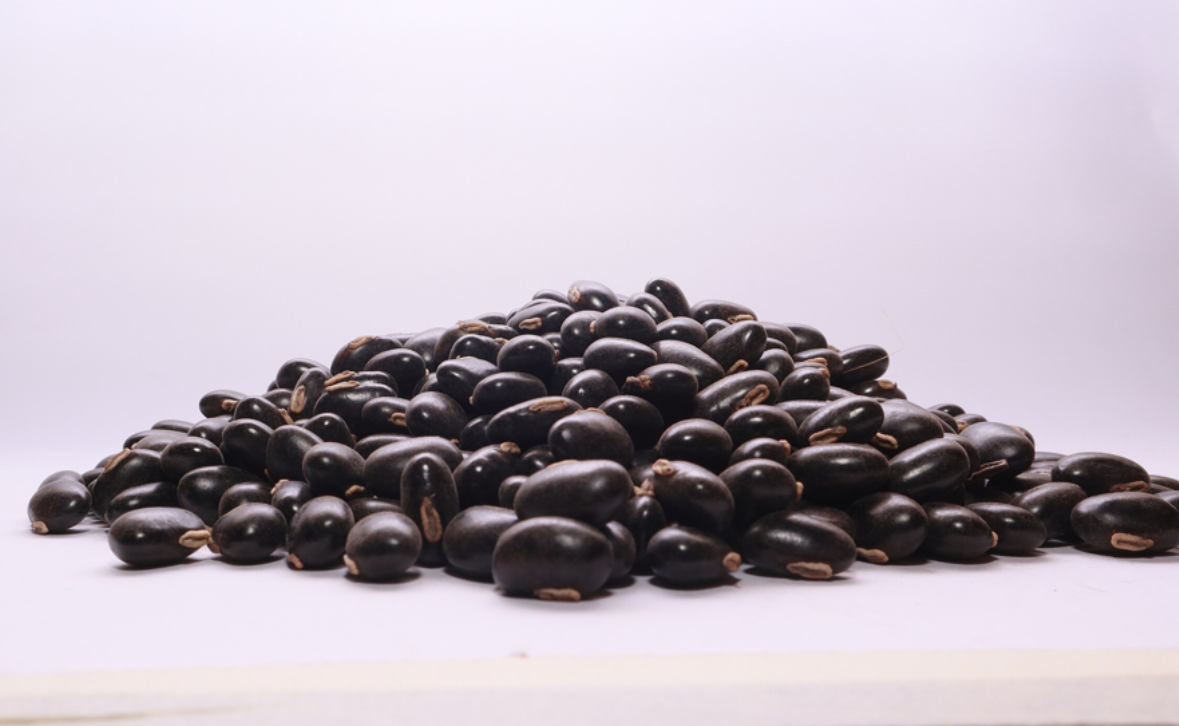 Mucuna pruriens: Dopamin, Serotonin ve Cinsel İstek - Üroloji Uzmanı